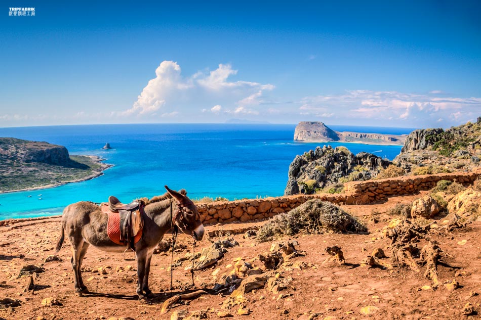 Balos Donkey at Lagune Crete Island Greece | Tripfabrik | visual delight